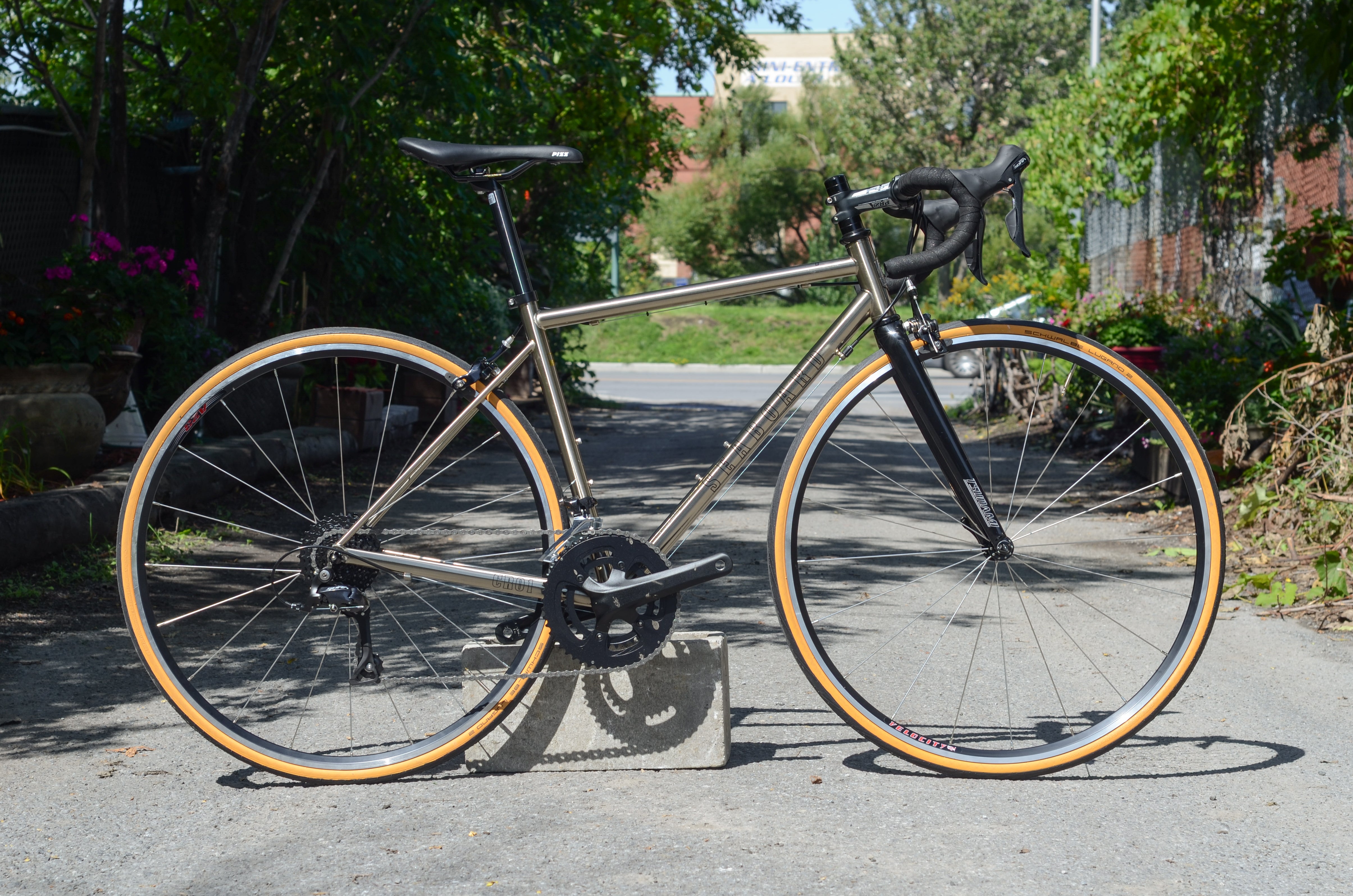 Complete Bikes with Tsunami & Seaboard – Atelier Olympia