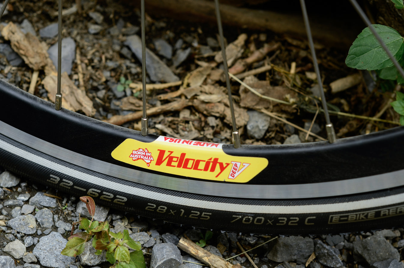 Tsunami SNM4130 Build – Atelier Olympia